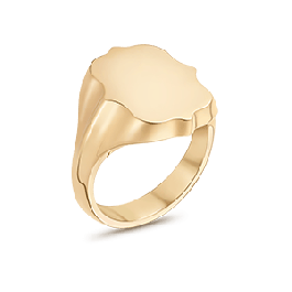 Century Ring | Rebus Signet Rings