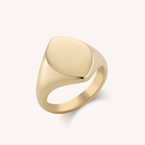 Signet Rings - Yellow, White, Rose Gold | Rebus Signet Rings | Rebus ...